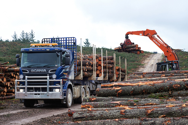 Road safety upgrade to benefit VIC logging operations - Prime Mover ...