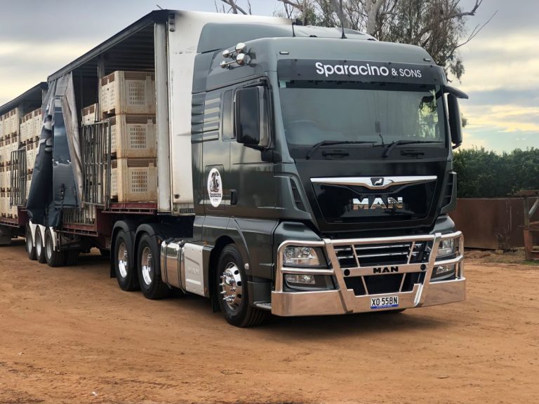 Sparacino & Sons debuts new cabover prime mover - Prime Mover Magazine