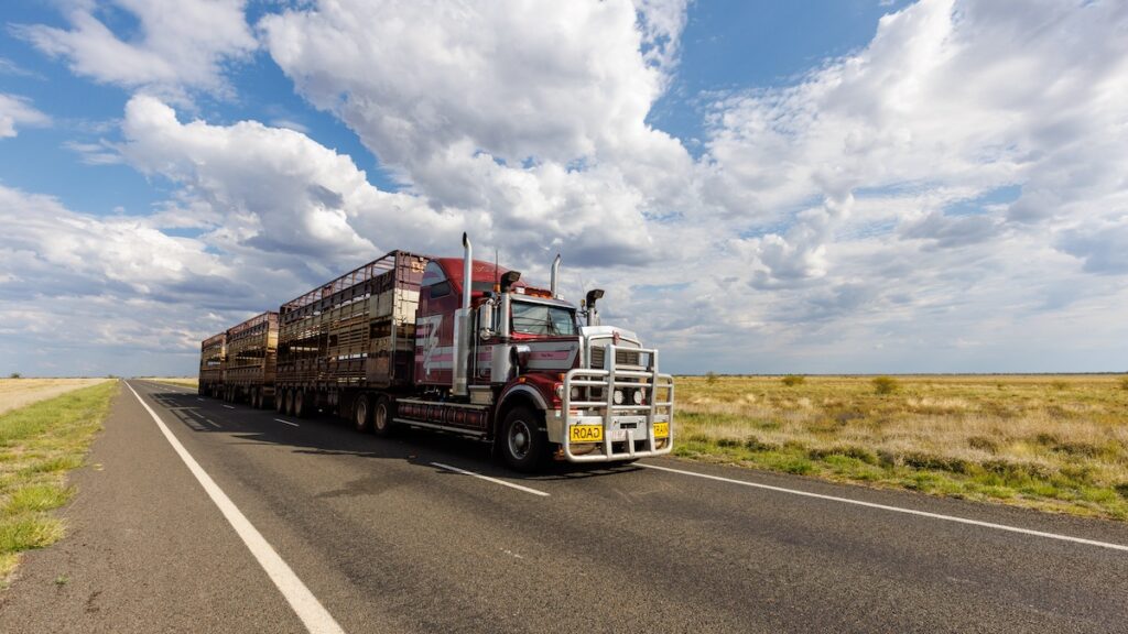 NHVR urges safer livestock transport following rise in incidents ...