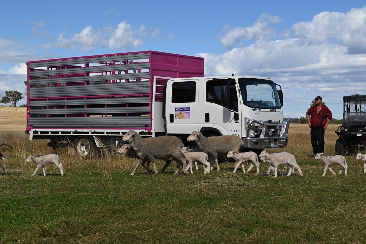 A Vehicle Upgrade Out on the Farm - Prime Mover Magazine